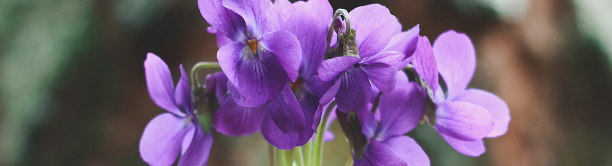 Proactive Gifts – her vital way